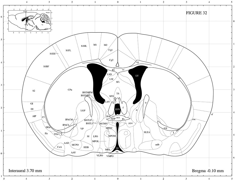 Mouse Brain Atlas