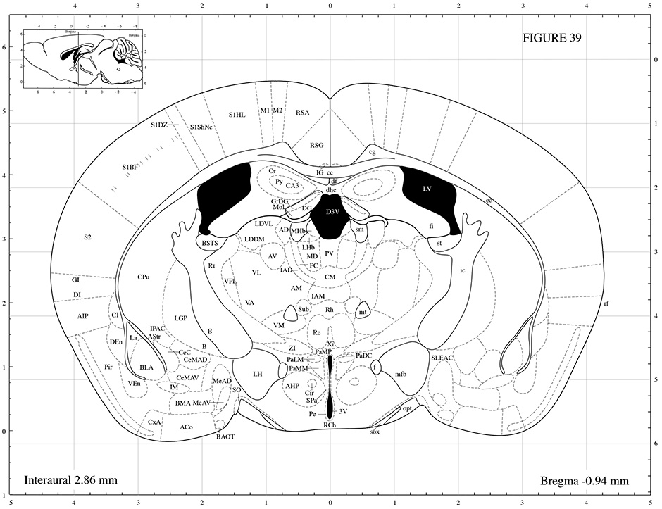 Mouse Brain Atlas